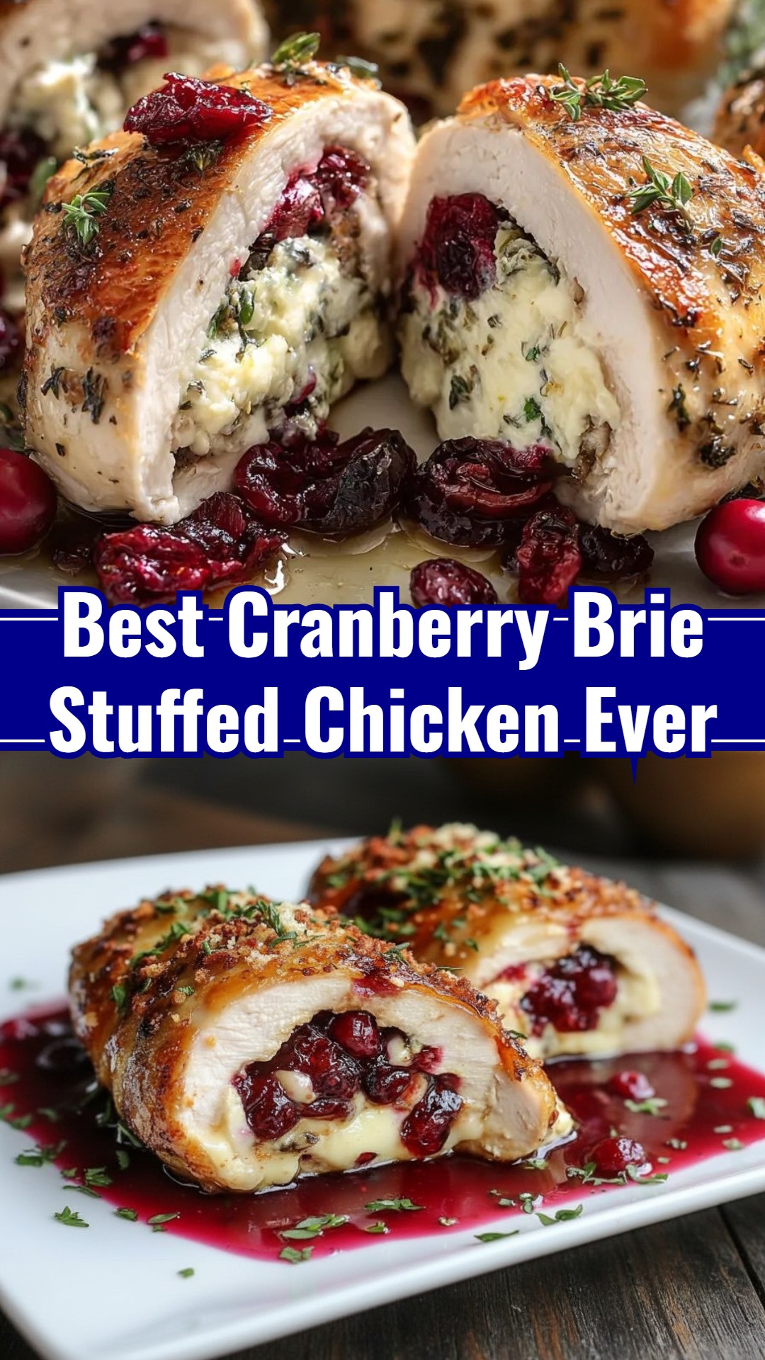 Elegant Cranberry Brie Chicken for December Holiday Dinners ...